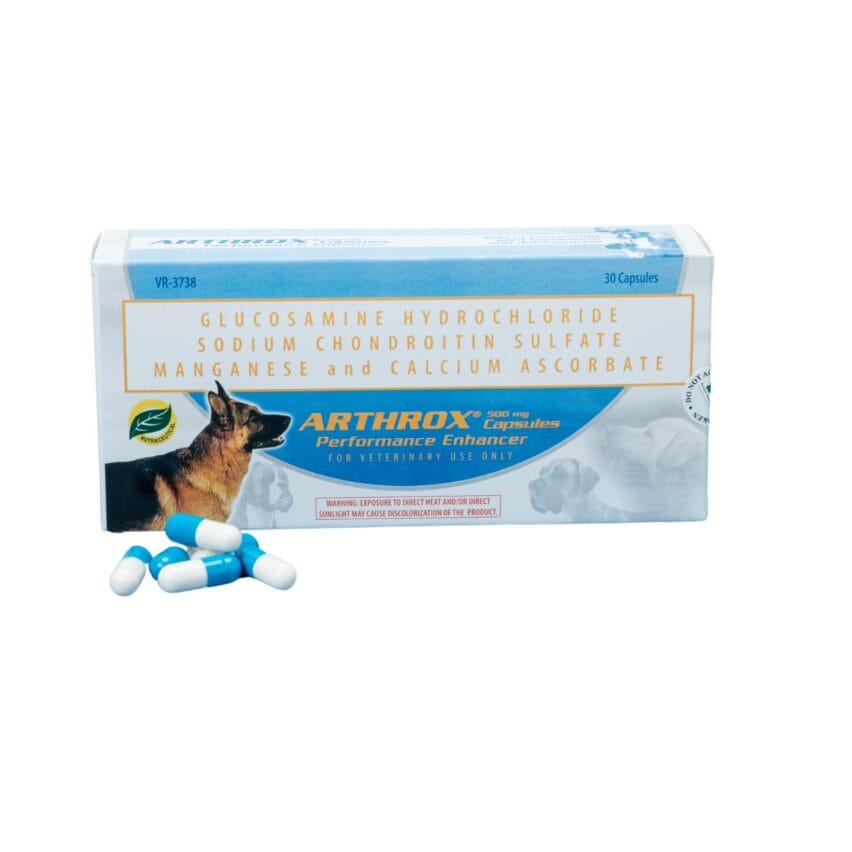 Arthrox – Plaridel