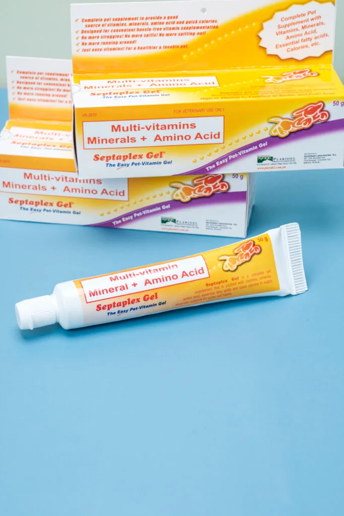 Septaplex Gel – Plaridel