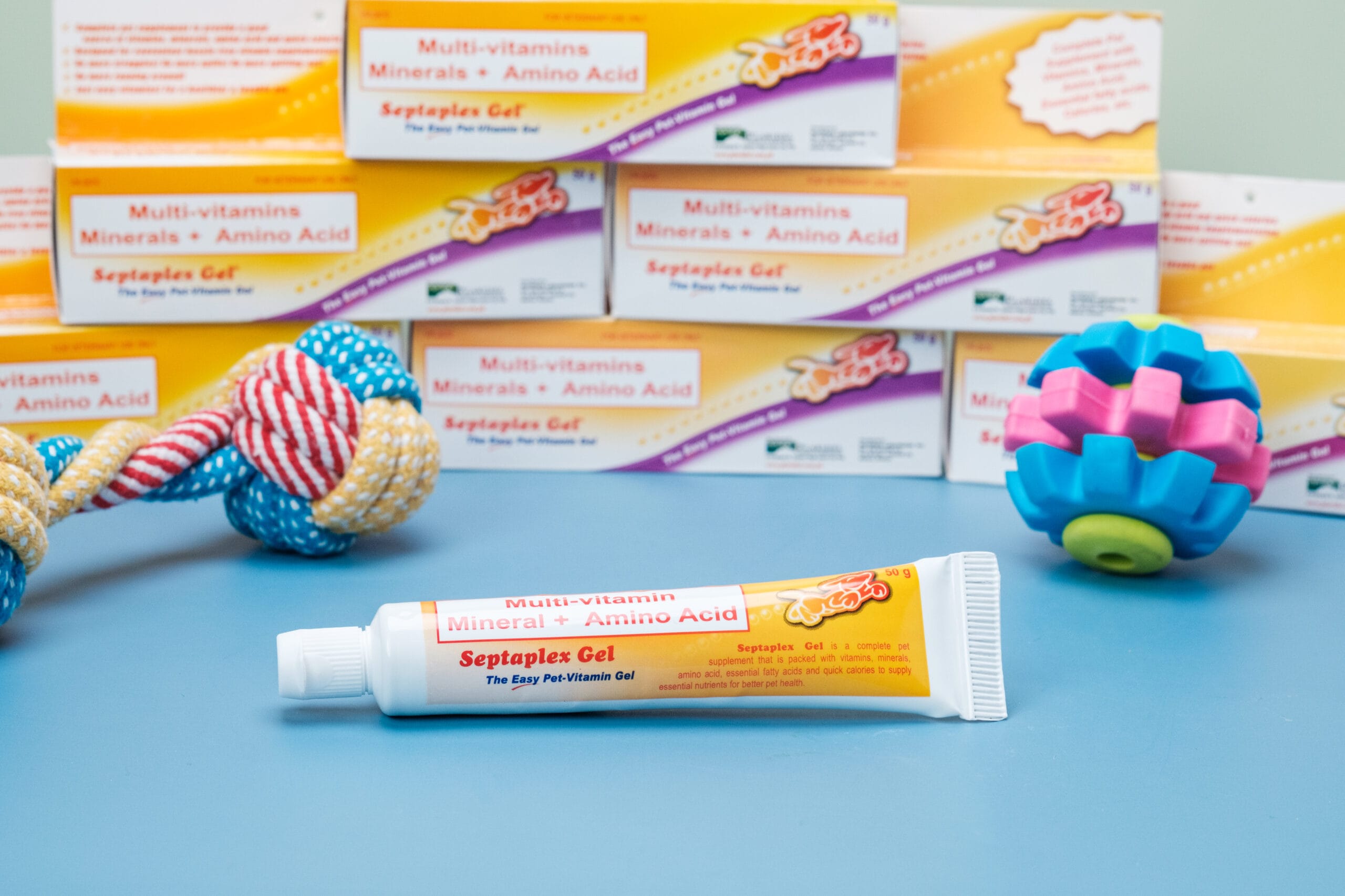 Septaplex Gel – Plaridel