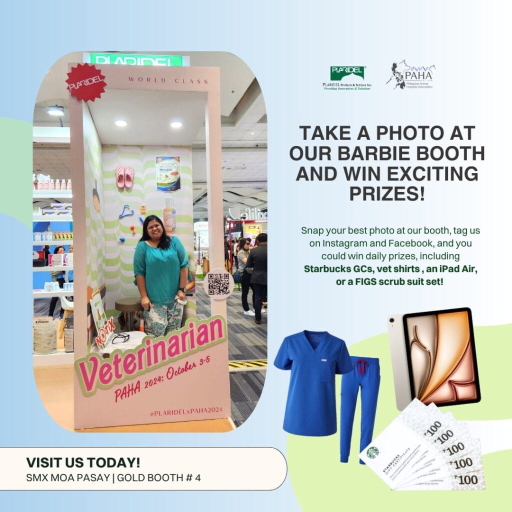 2024 PAHA Conference – Plaridel