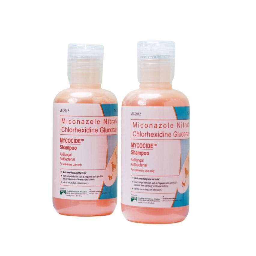 Mycocide – Plaridel