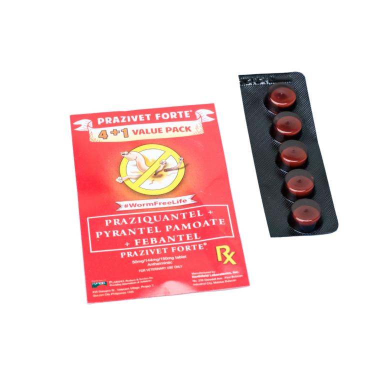 Prazivet 5s – Plaridel